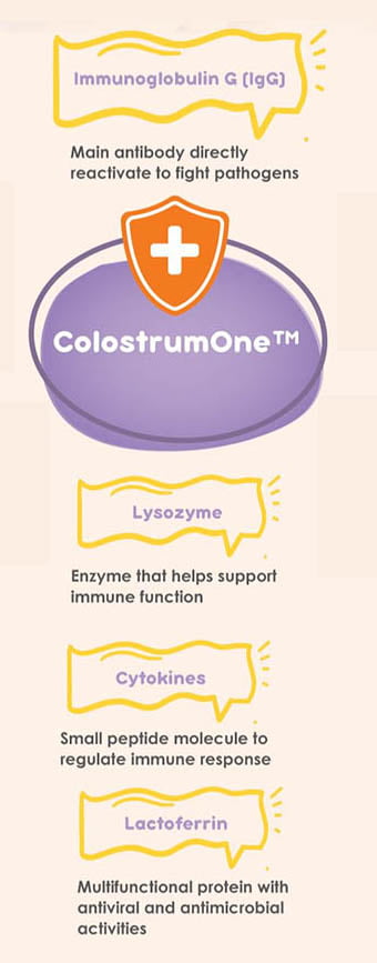 Kidaone Elderberry Colostrum Immunity Boost for Children - BeJuicyFit